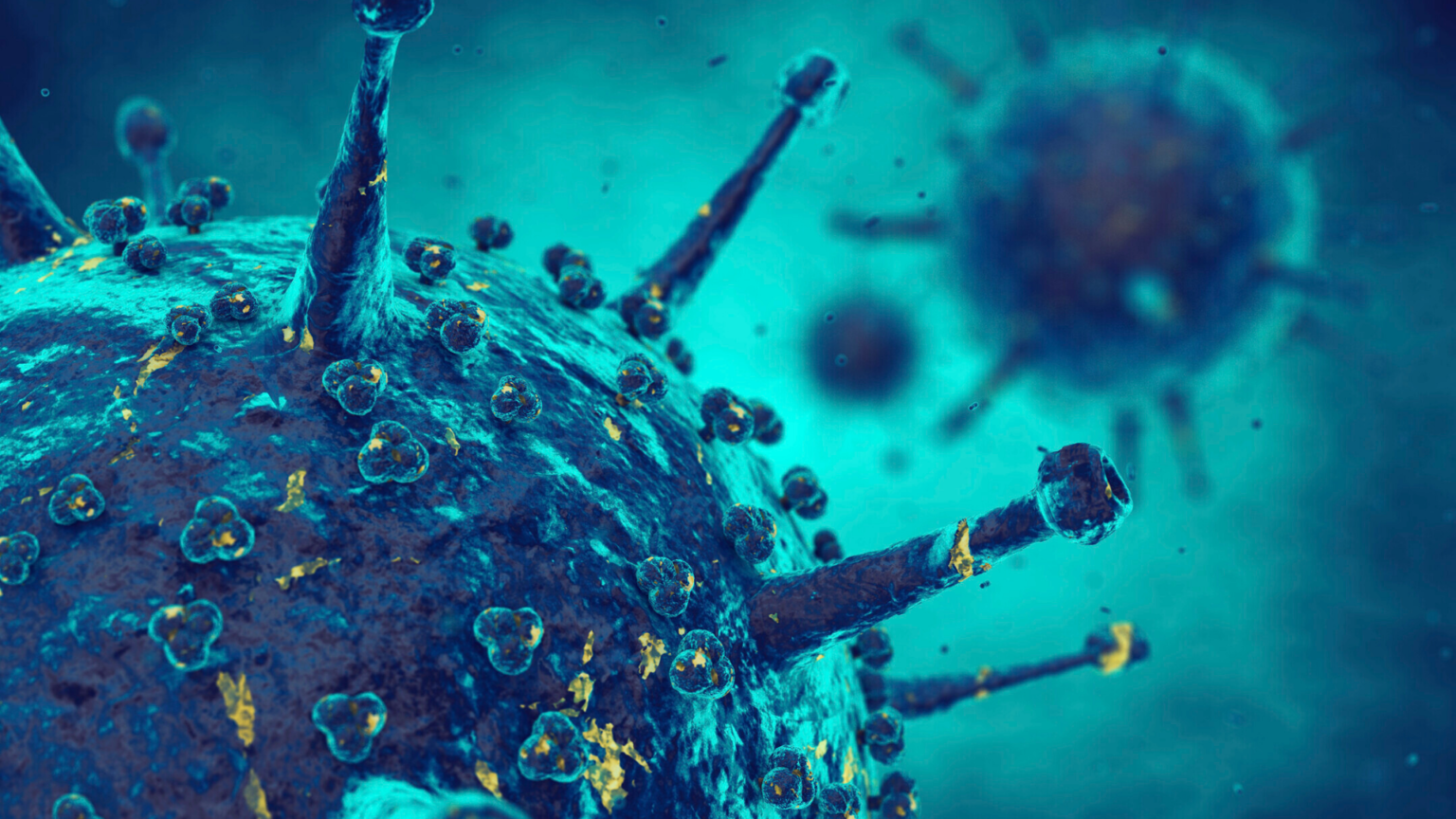 Best Free Microsoft Teams Backgrounds: the ultimate collection of Teams ...